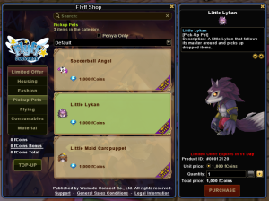 Cash Shop Guide | Madrigal Inside | Flyff Universe Wiki